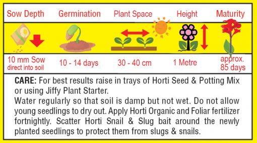 Canna Tropical Rose | Horti Flora - Singapore Seeds Supplier