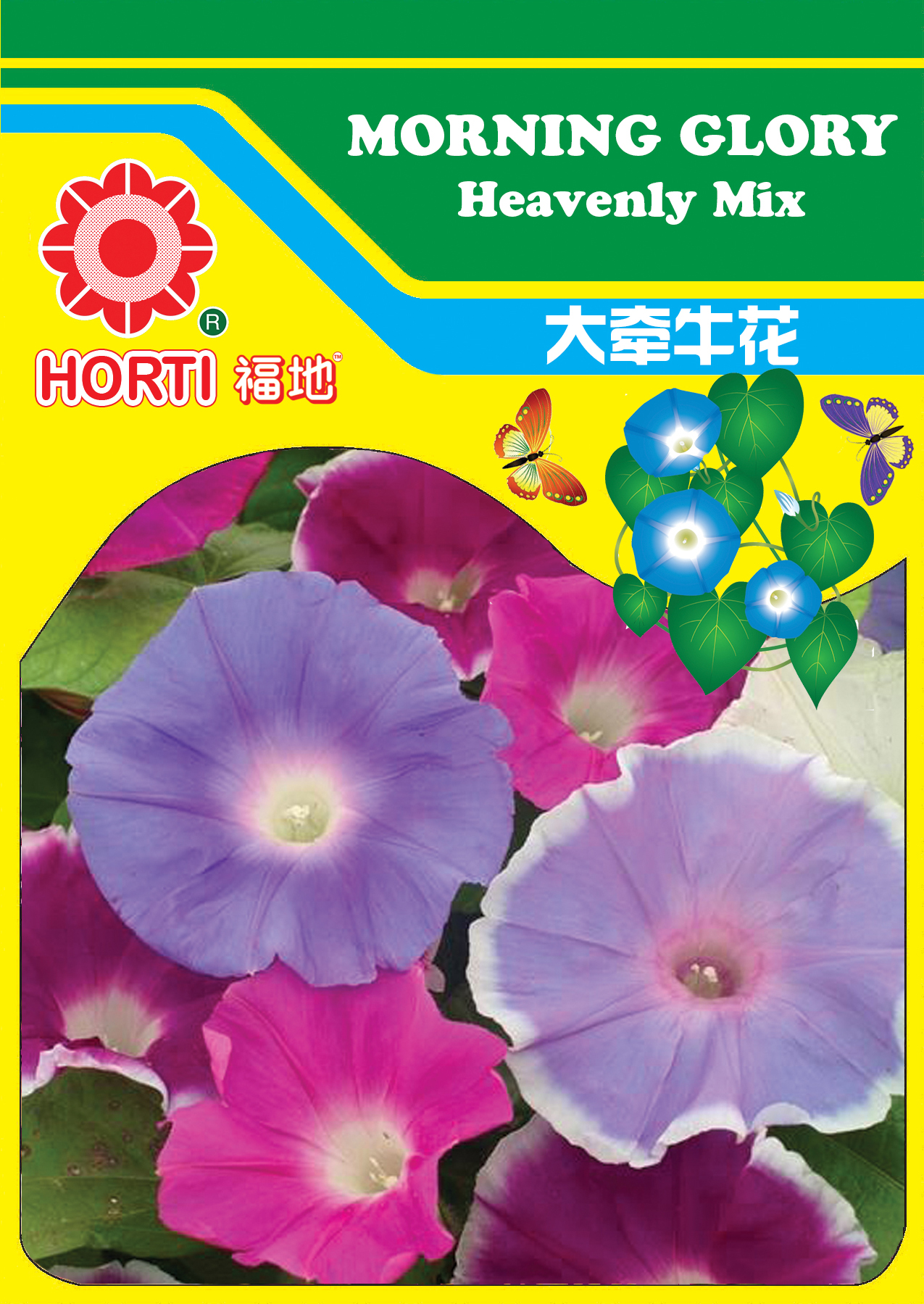 Morning Glory Heavenly Mix | Horti Flora - Singapore Seeds Supplier