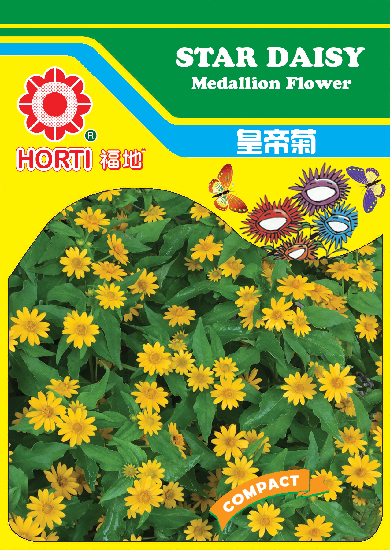 Star Daisy | Horti Flora - Singapore Seeds Supplier