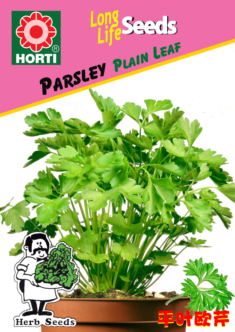 Parsley Plain Leaf | Horti Flora - Singapore Seeds Supplier