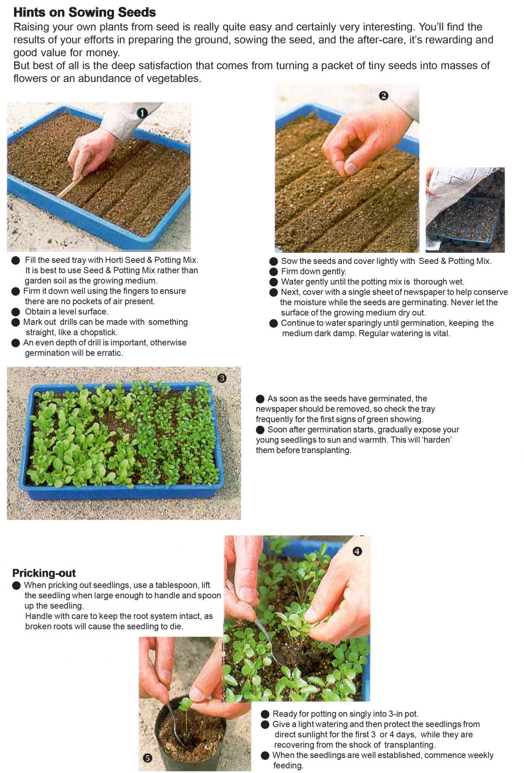 Sowing Guide (English) | Horti Flora - Singapore Seeds Supplier