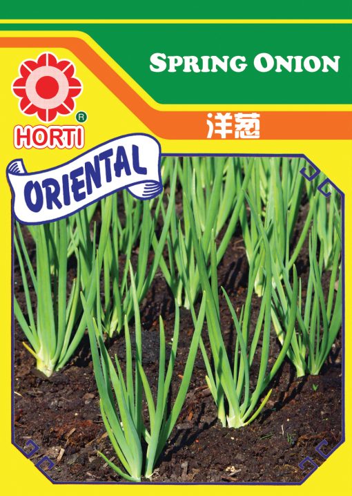 Spring Onion | Horti Flora - Singapore Seeds Supplier